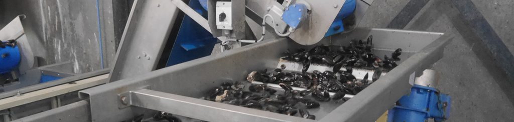 Infeed Shaker - Formutech