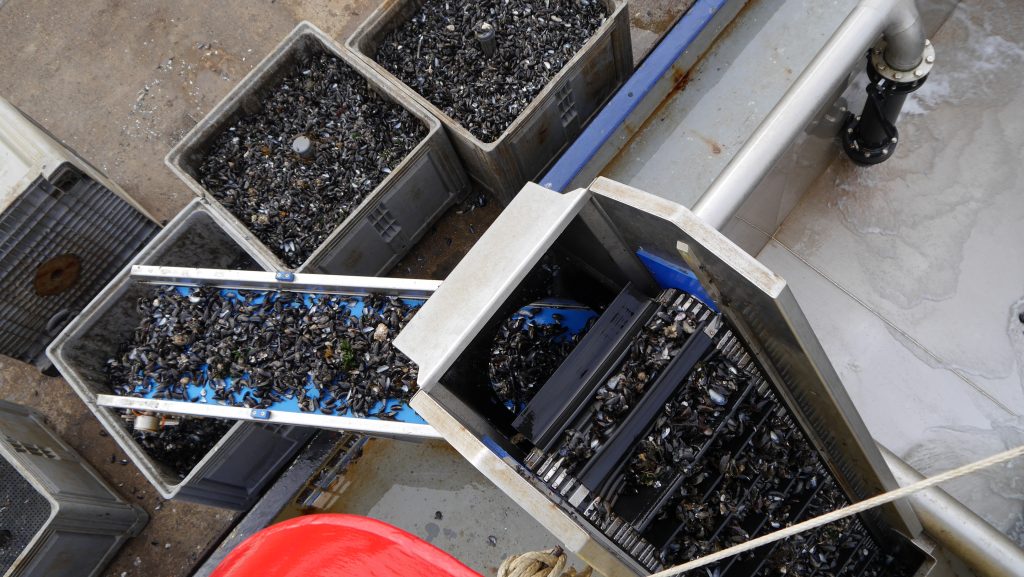 Unloading system - Formutech